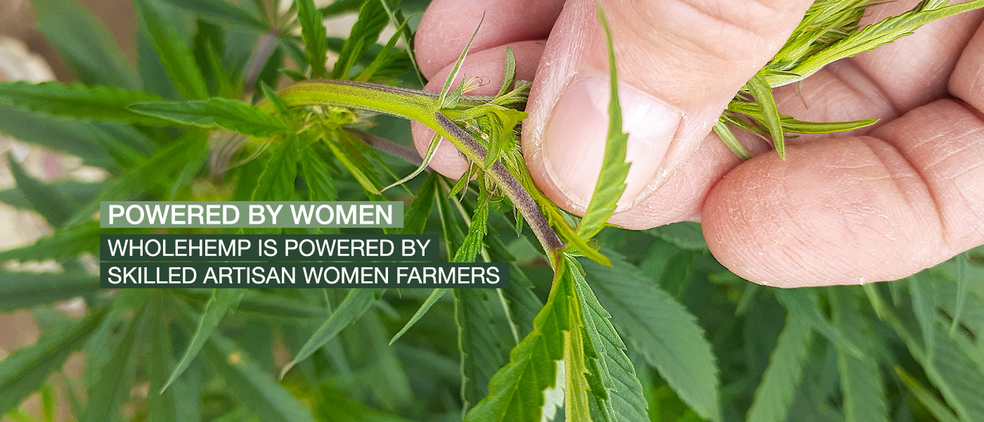 Powered By Women - WholeHemp - High Quality Whole Plant Hemp Ontario ...